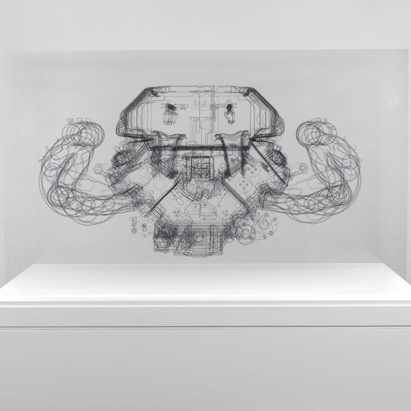 artist Angela Palmer: F1 project